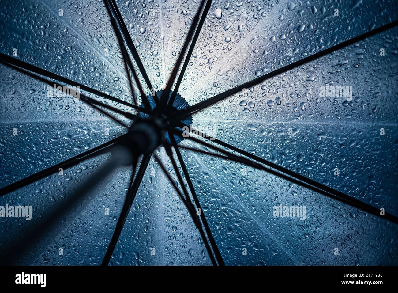 Raindrops on open umbrella seen from below against city lights at night ...