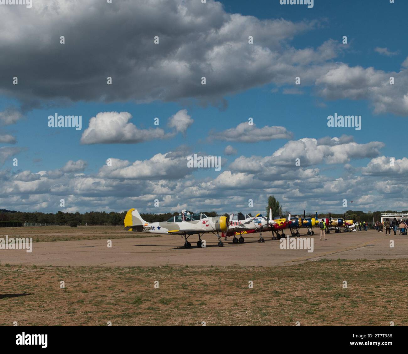 A line of Yak 52 aircraft in formation against a grey, cloudy sky Stock ...