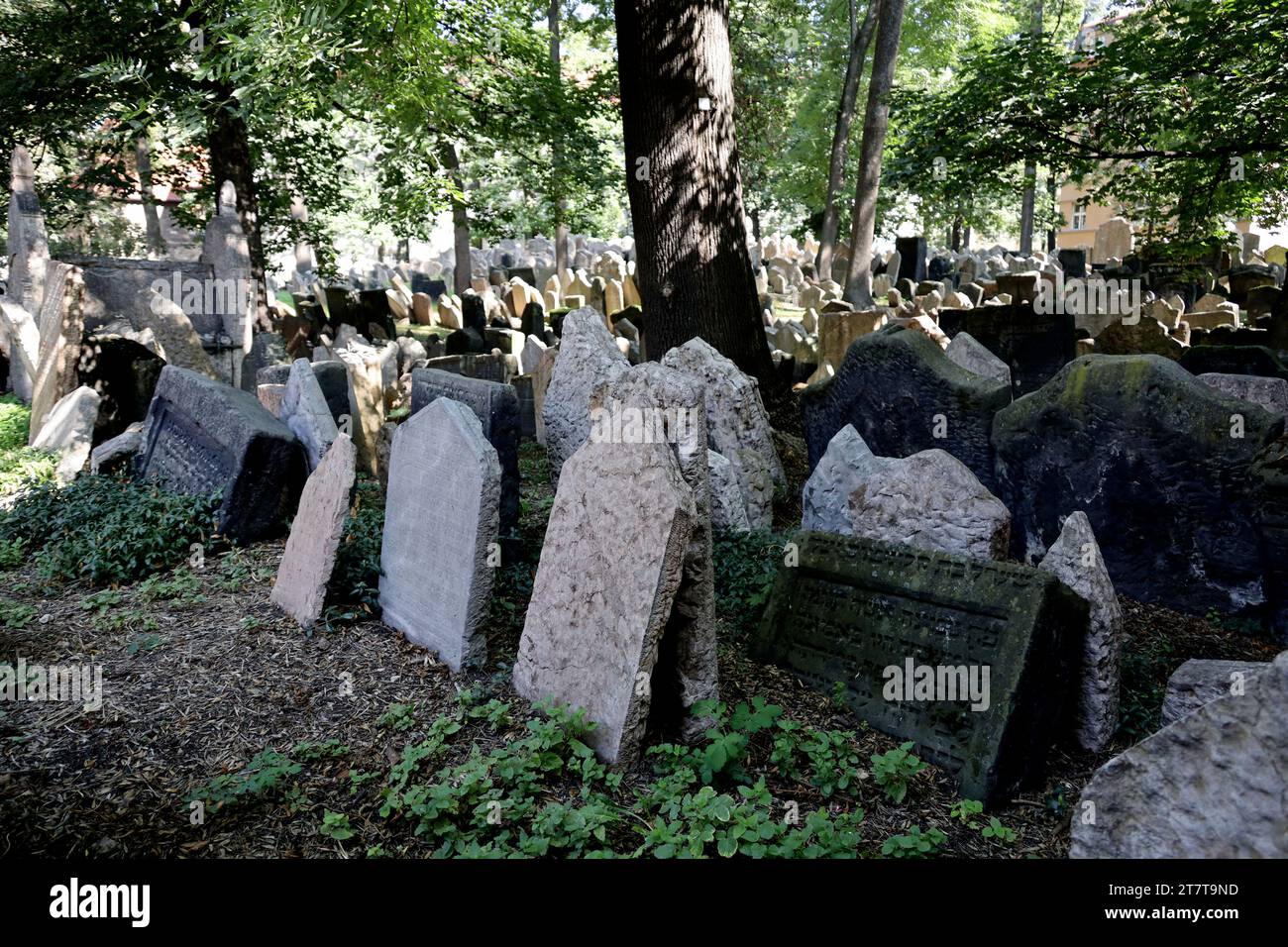 Historical view jewish cemetery hi-res stock photography and images - Alamy