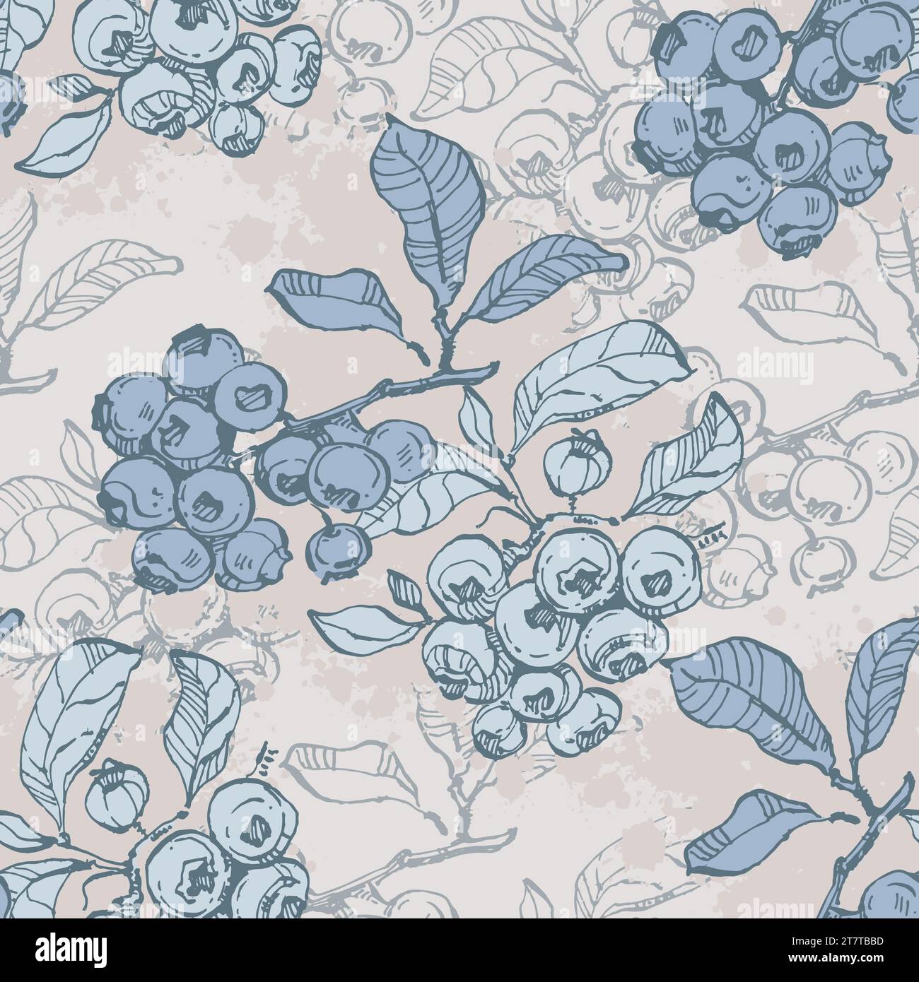 Seamless pattern sketch. Blueberry pattern vector sketch. Blueberry ...
