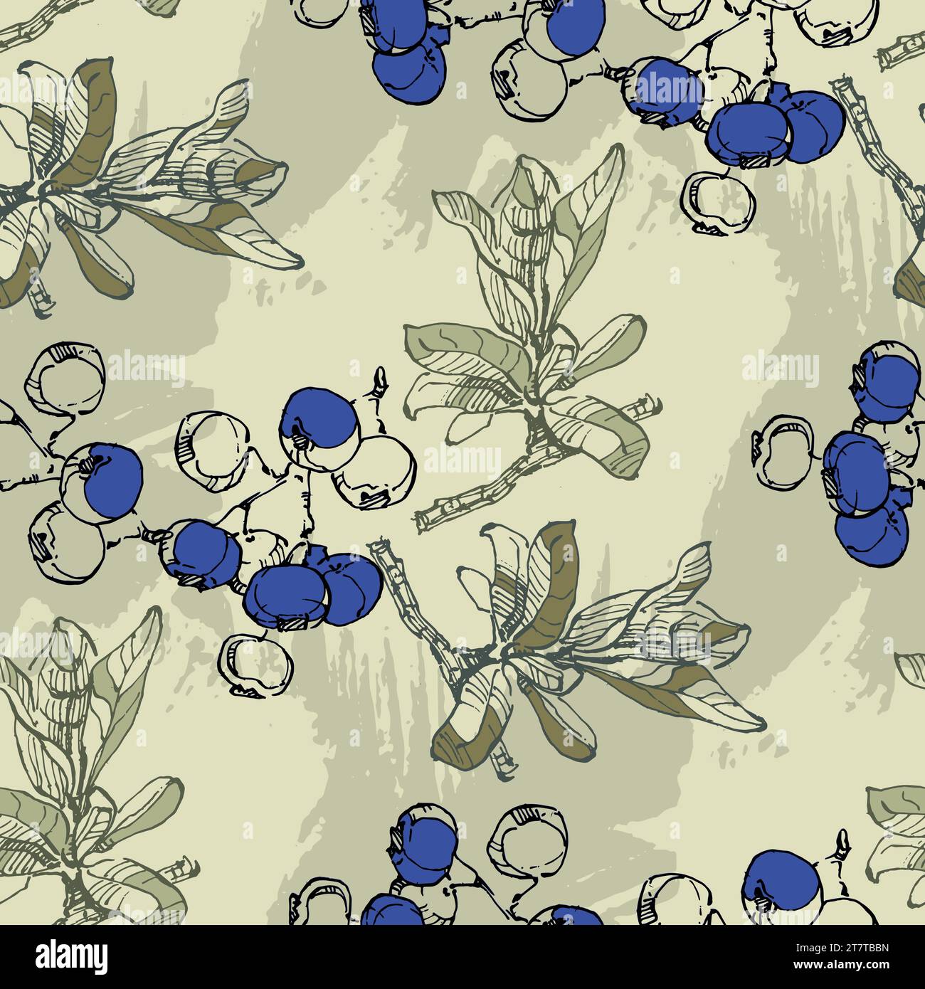 Seamless pattern sketch. Blueberry pattern vector sketch. Blueberry ...