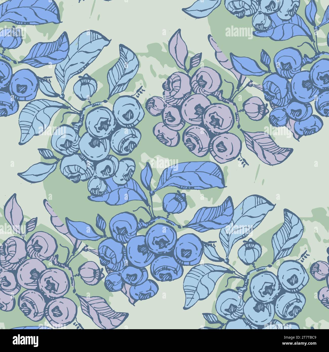 Seamless pattern sketch. Blueberry pattern vector sketch. Blueberry ...