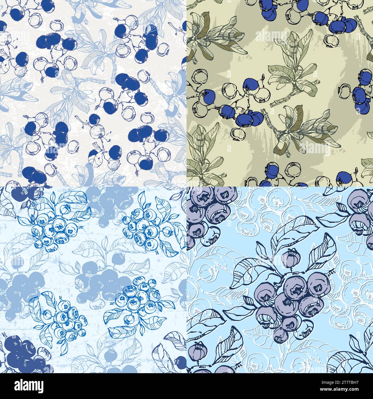 Seamless pattern sketch. Blueberry pattern vector sketch. Blueberry ...