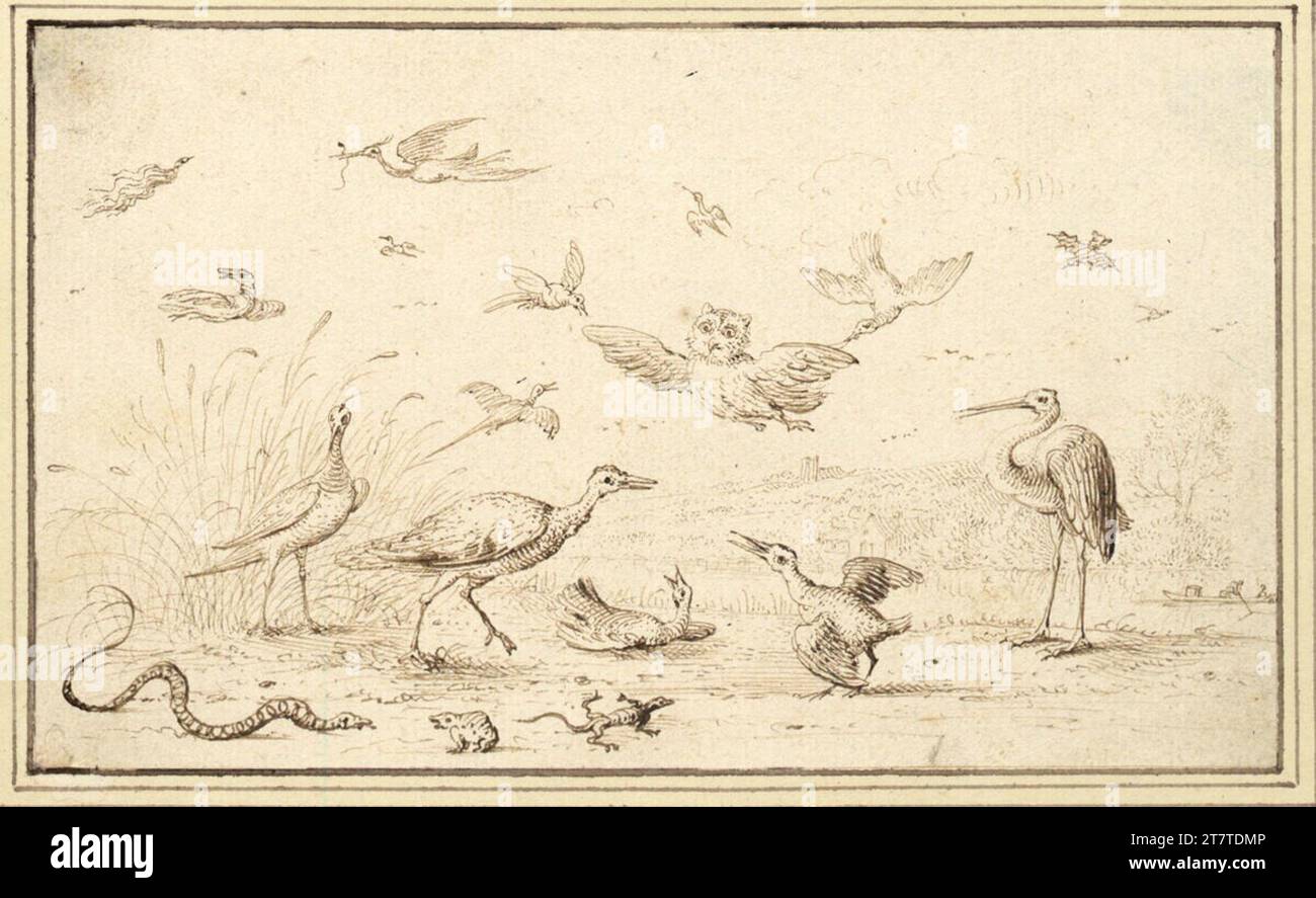 Albert Flamen Study sheet with different bird species (in the middle a ...