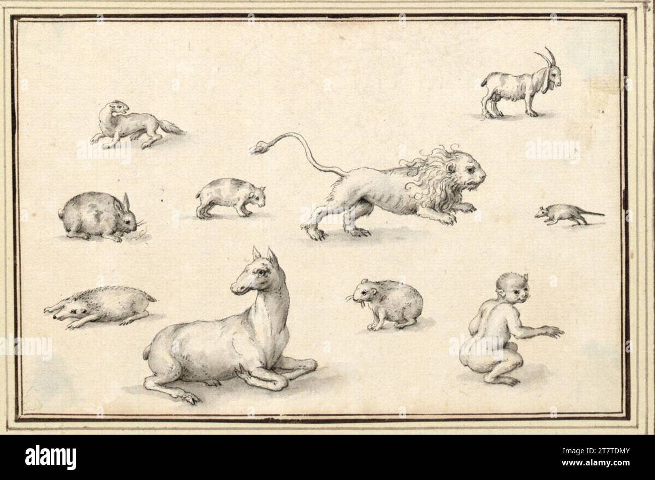Albert Flamen Study sheet with ten animals (jumping lion, lying horse ...