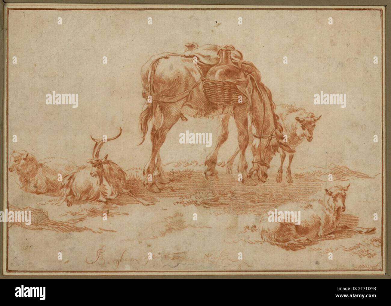 Anonym Grazing mules, loaded with jugs, as well as three sheep and a ...