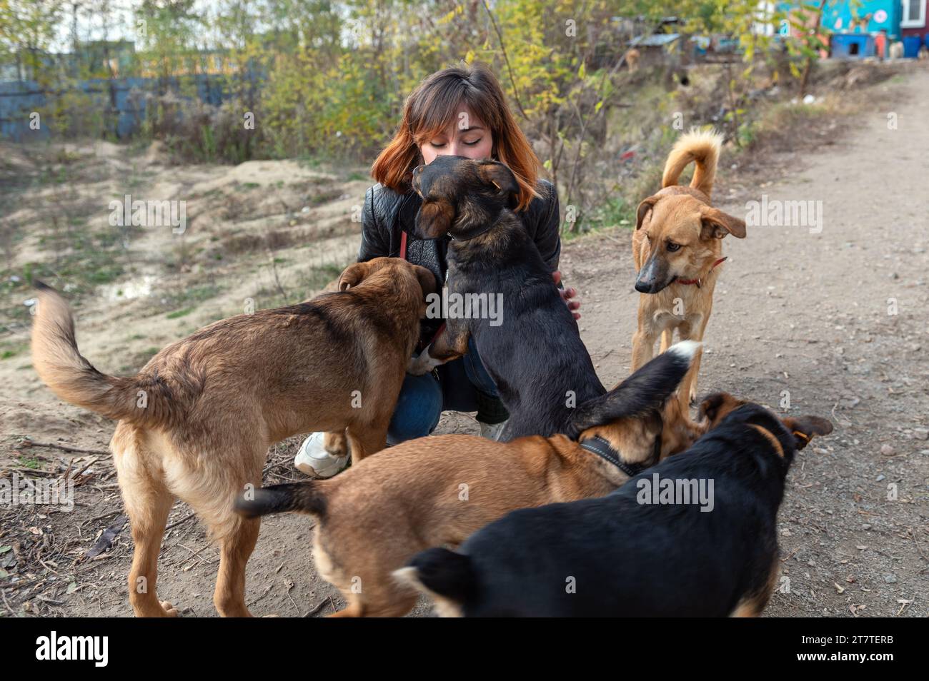Dog at the shelter. Animal shelter volunteer takes care of dogs. Animal ...