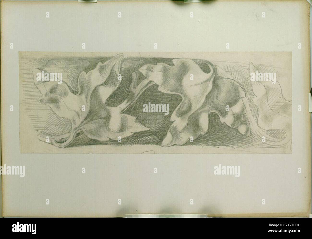 Alfred Castelliz (Zeichner in) Study for Gothic leaf tendrils, front ...