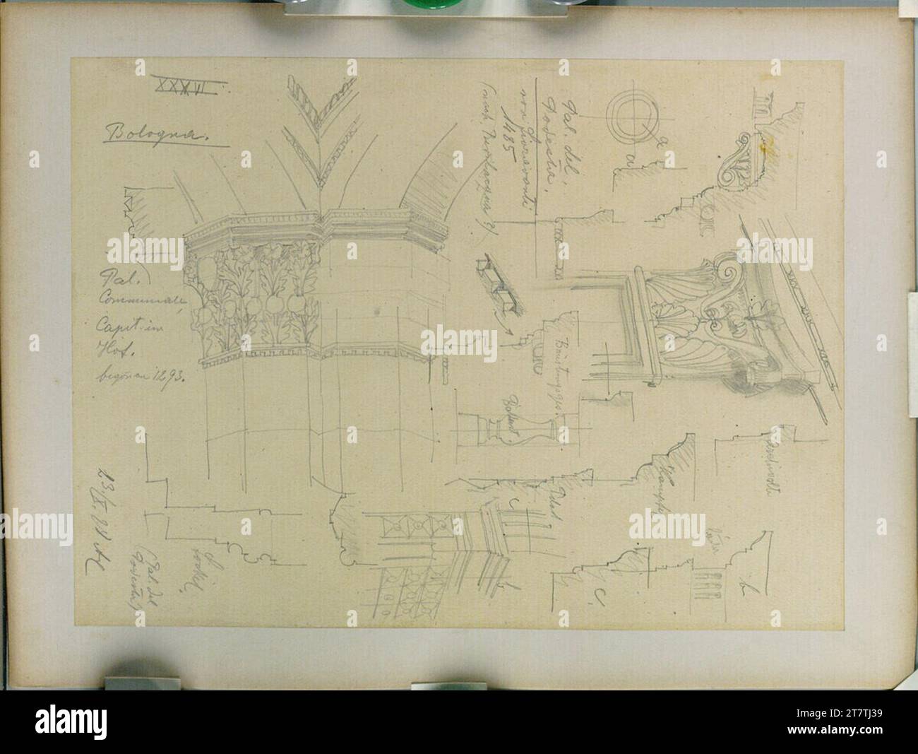 Alfred Castelliz (Zeichner in) Bologna, Palazzo del Podestà and Palazzo ...