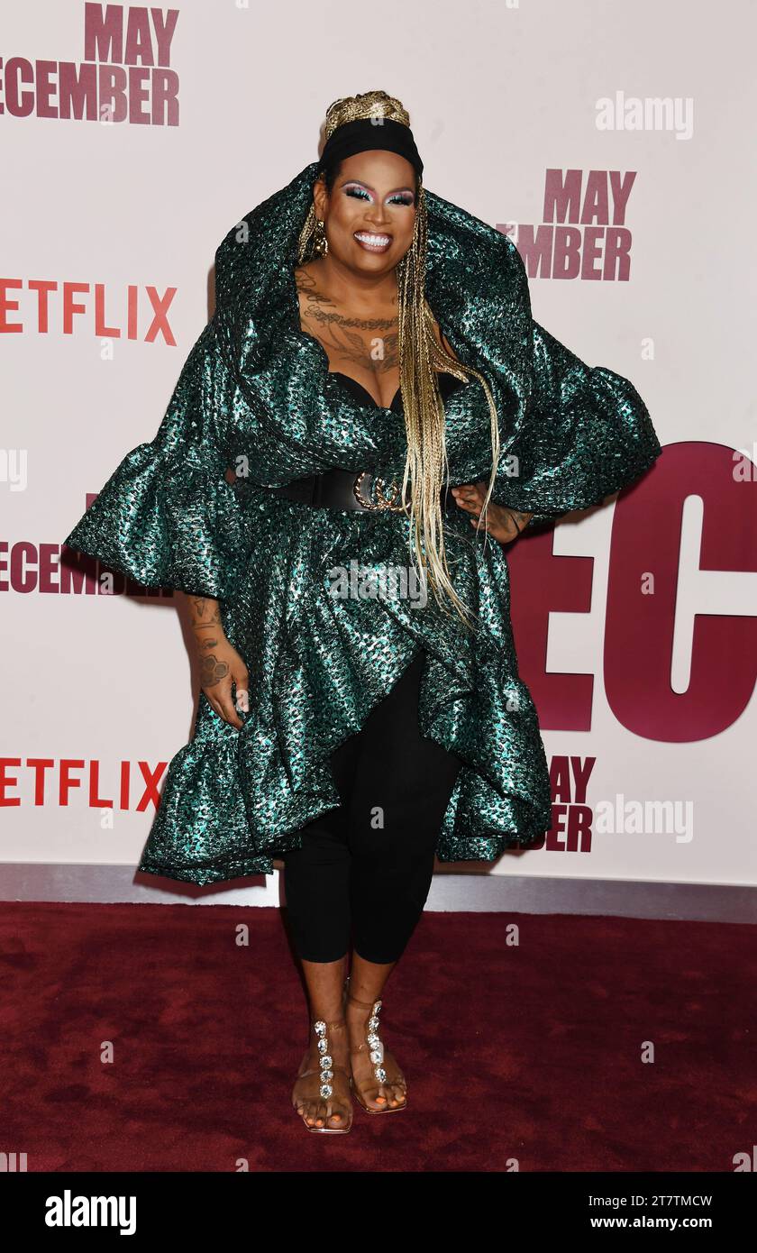 LOS ANGELES, CALIFORNIA - NOVEMBER 16: Ashlee Marie Preston attends the ...