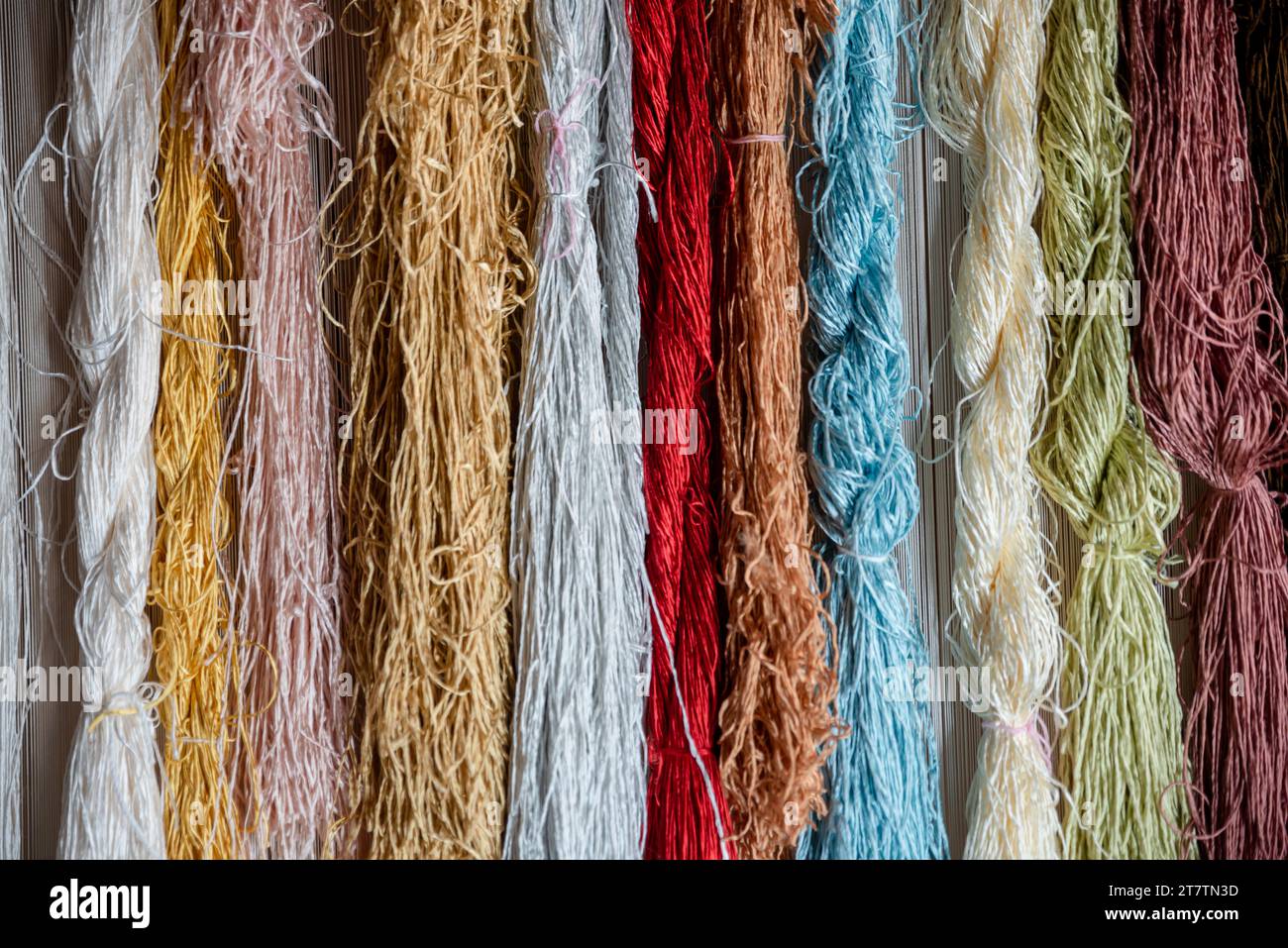 Colorful silk threads for weaving in a textile factory , Cotton color ...