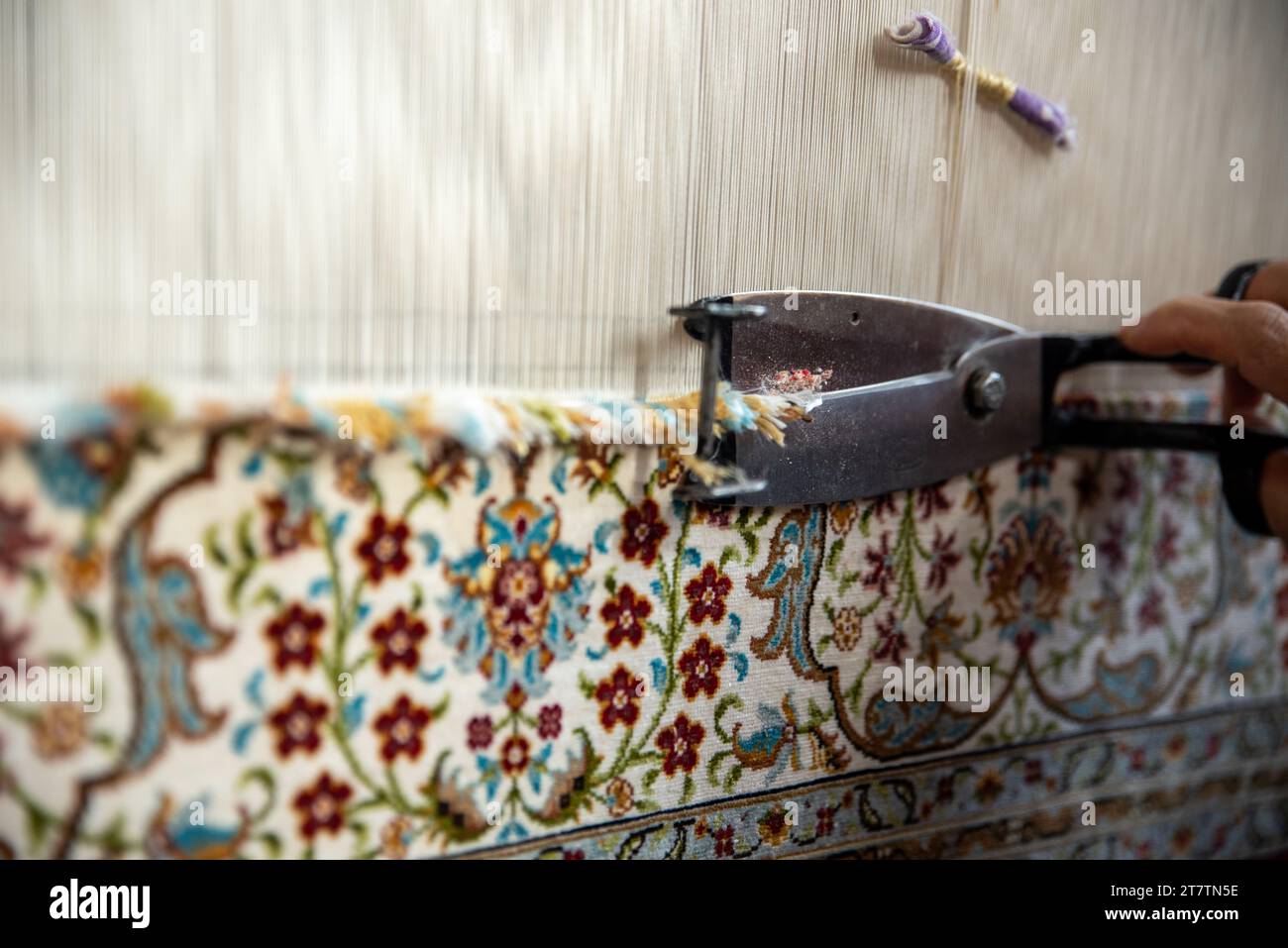 weaving carpet ,a diligent woman makes a traditional carpet by hand ...