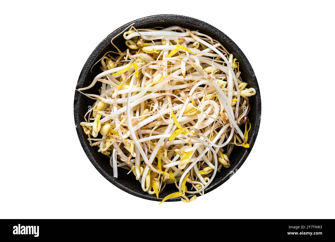 Raw White Organic Bean Sprouts in a Bowl. Isolated, white background ...