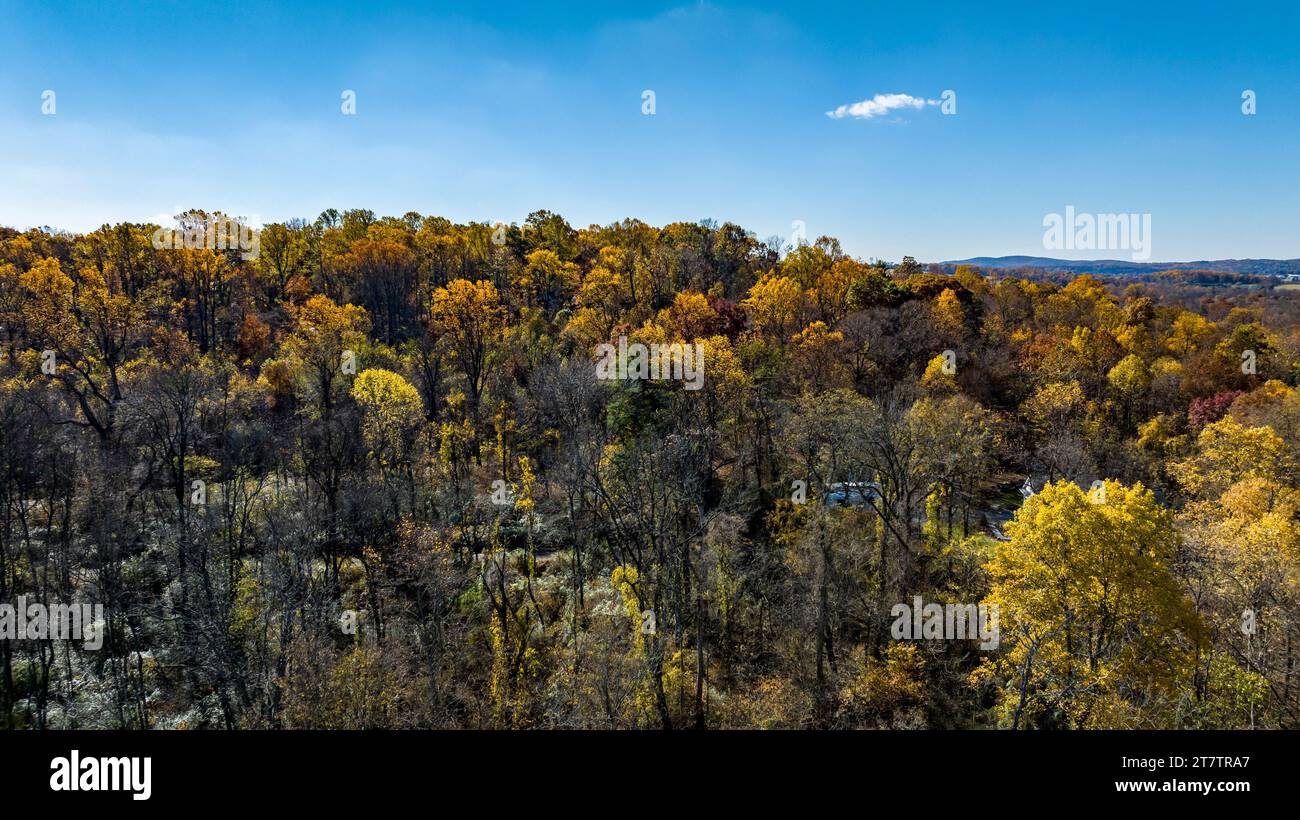 An Area View of a Autumn Hillside of Orange and Yellow Trees, on a ...