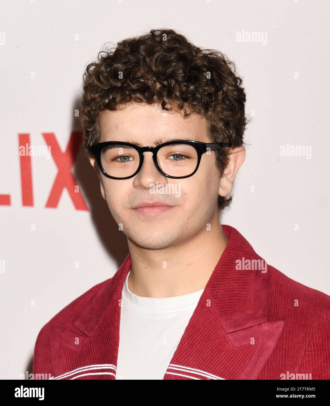 LOS ANGELES, CALIFORNIA - NOVEMBER 16: Gaten Matarazzo attends the Los ...