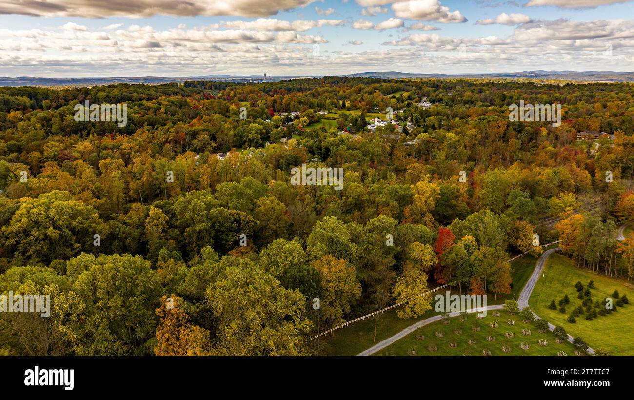 An Aerial View of Autumn Trees of Color Over Countryside, on a Sunny ...