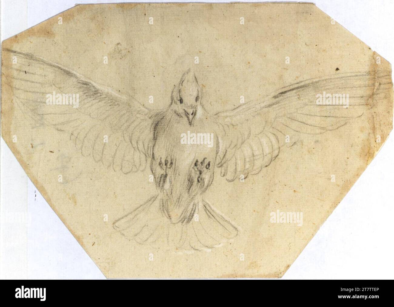 Francesco Borromini (Entwerfer in) Roma, Palazzo Falconieri , Taube ...