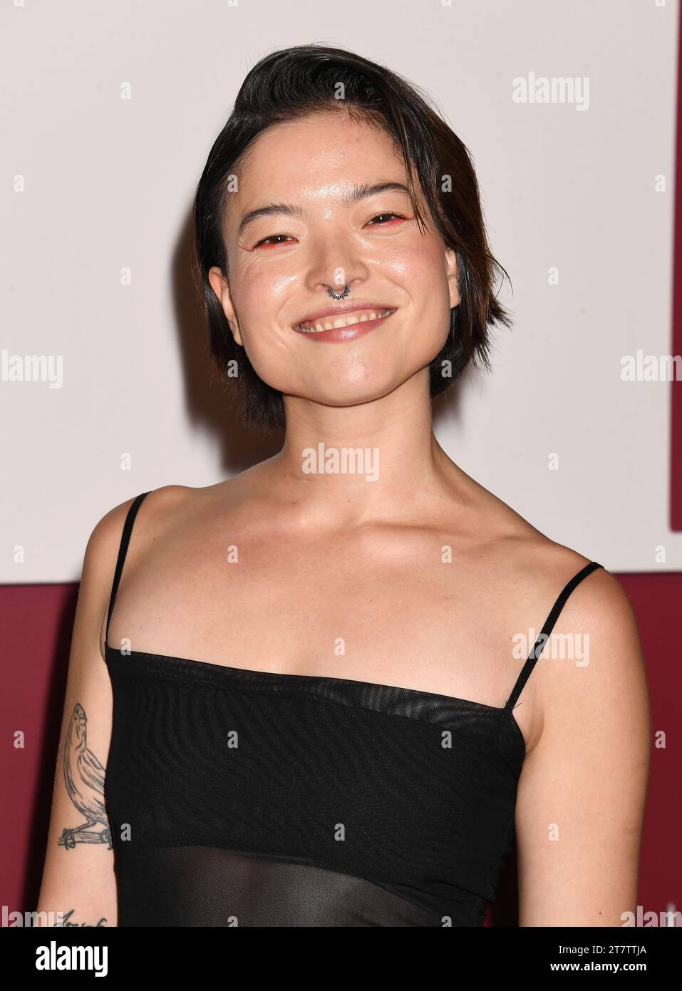 LOS ANGELES, CALIFORNIA - NOVEMBER 16: Piper Curda attends the Los ...