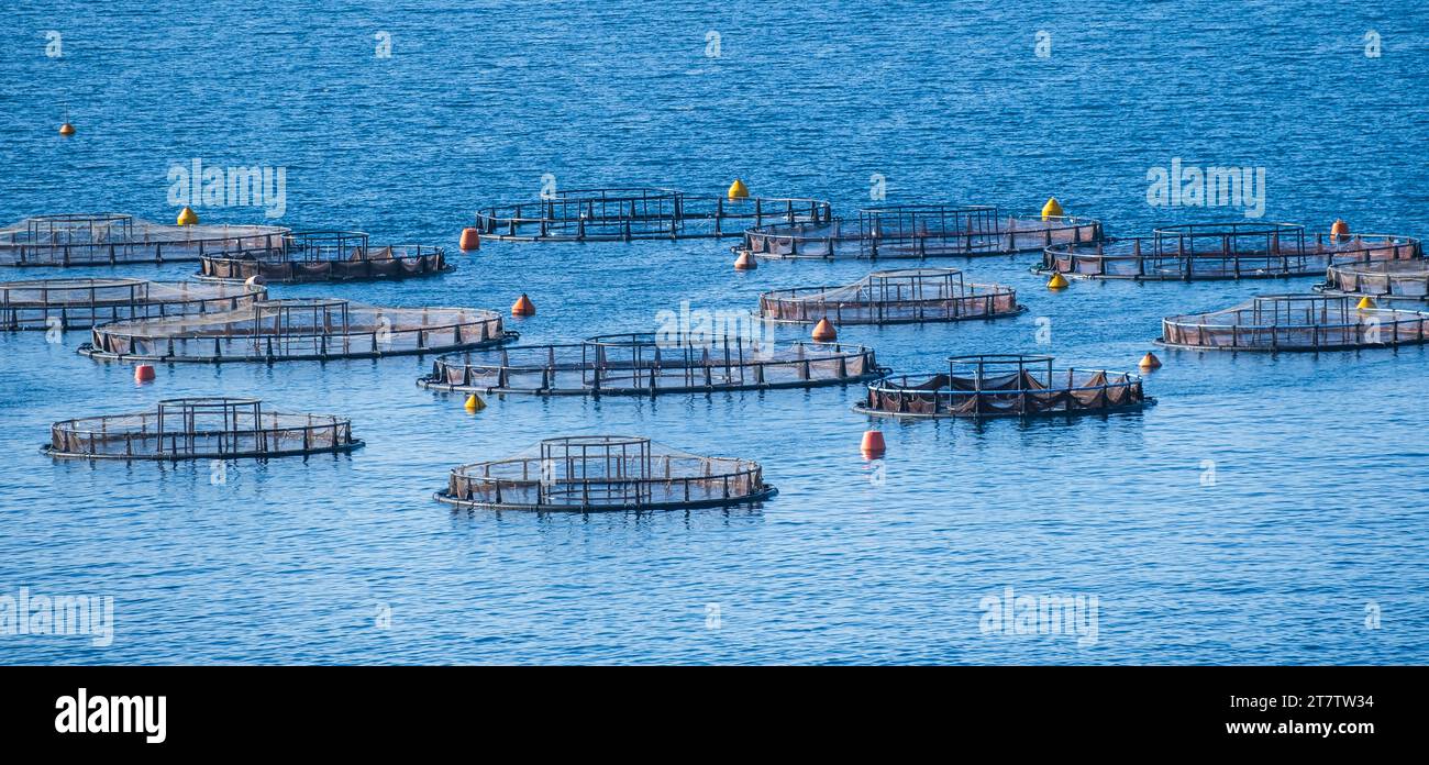 View of sea fish farm cages and fishing nets, farming dorado, sea bream ...