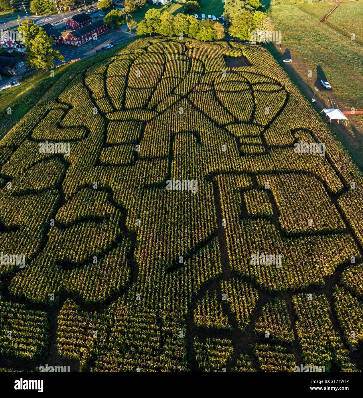 Corn maze aerial hi-res stock photography and images - Alamy