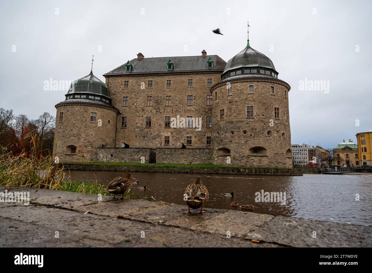 Birds overlooking Black river and Orebro castle Stock Photo - Alamy