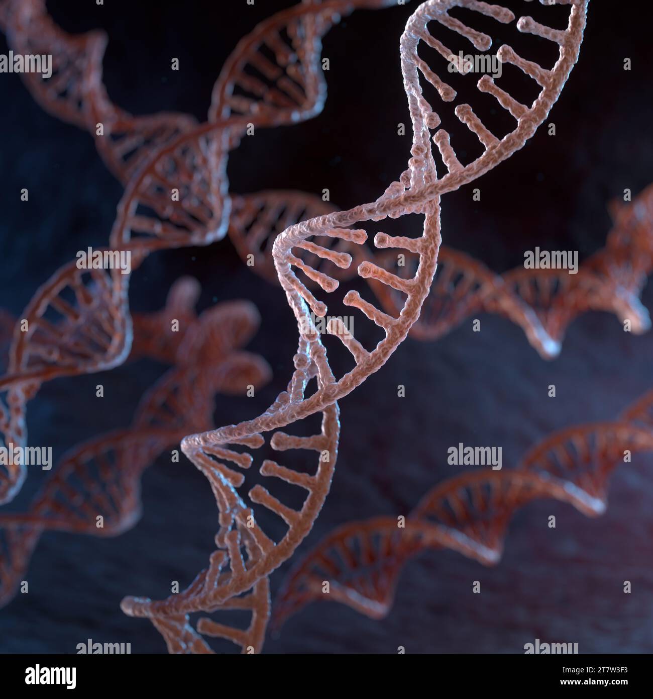 Spiral strands of DNA on the dark background. 3D illustration Stock ...