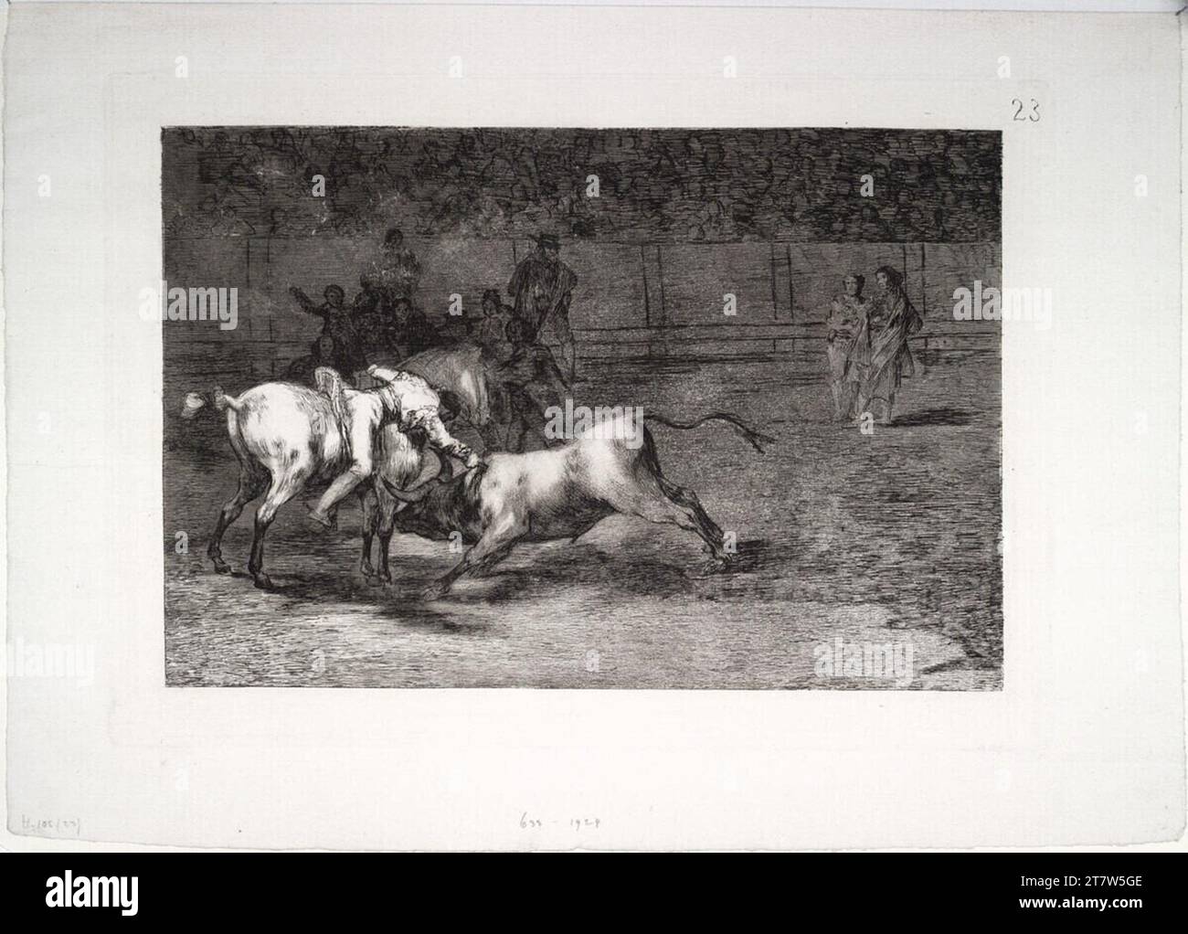 Caballo y toro hi-res stock photography and images - Alamy