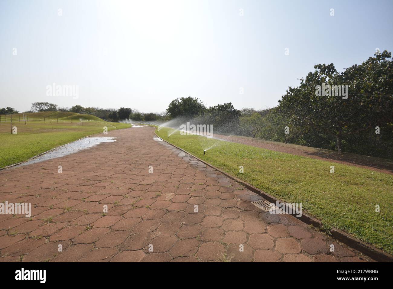 sprinkler. Lawn sprinkler spraying water over green grass. Irrigation ...