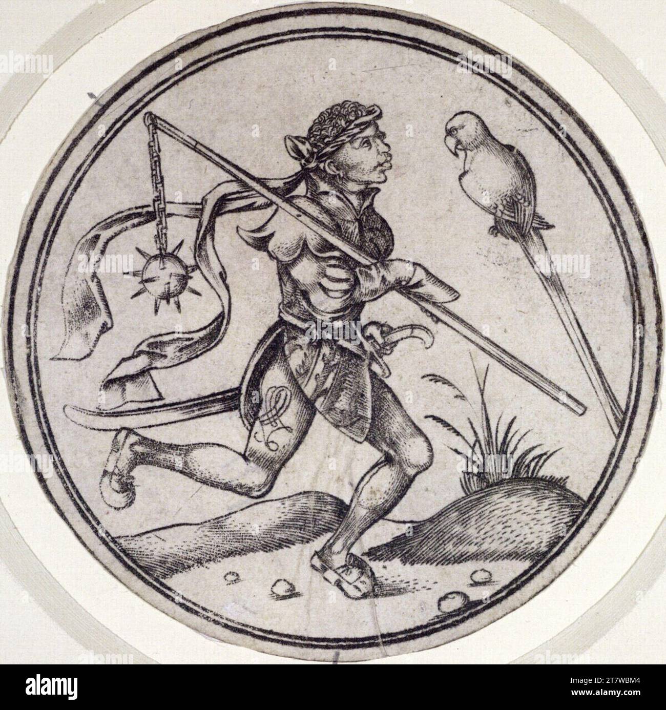 Meister PW von Köln (Meister PPW) (Meister PPW) Parrot-Ober. Copper ...