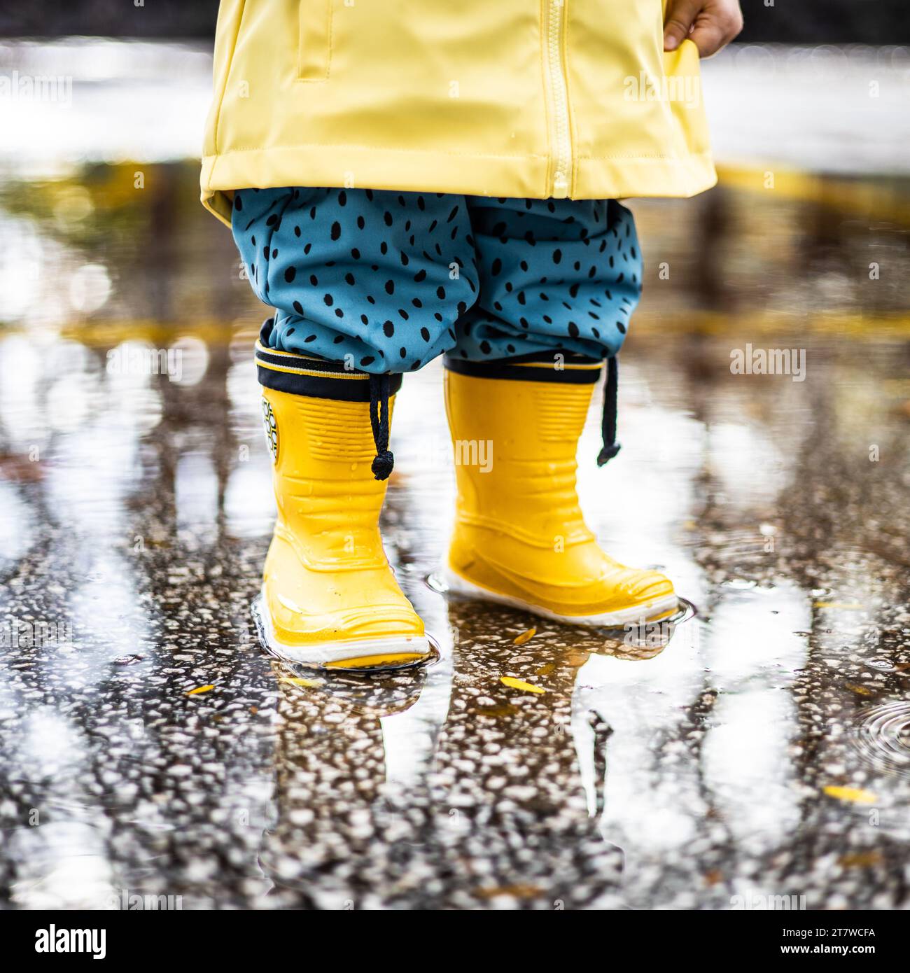 Small infant boy wearing yellow rubber boots and yellow waterproof ...