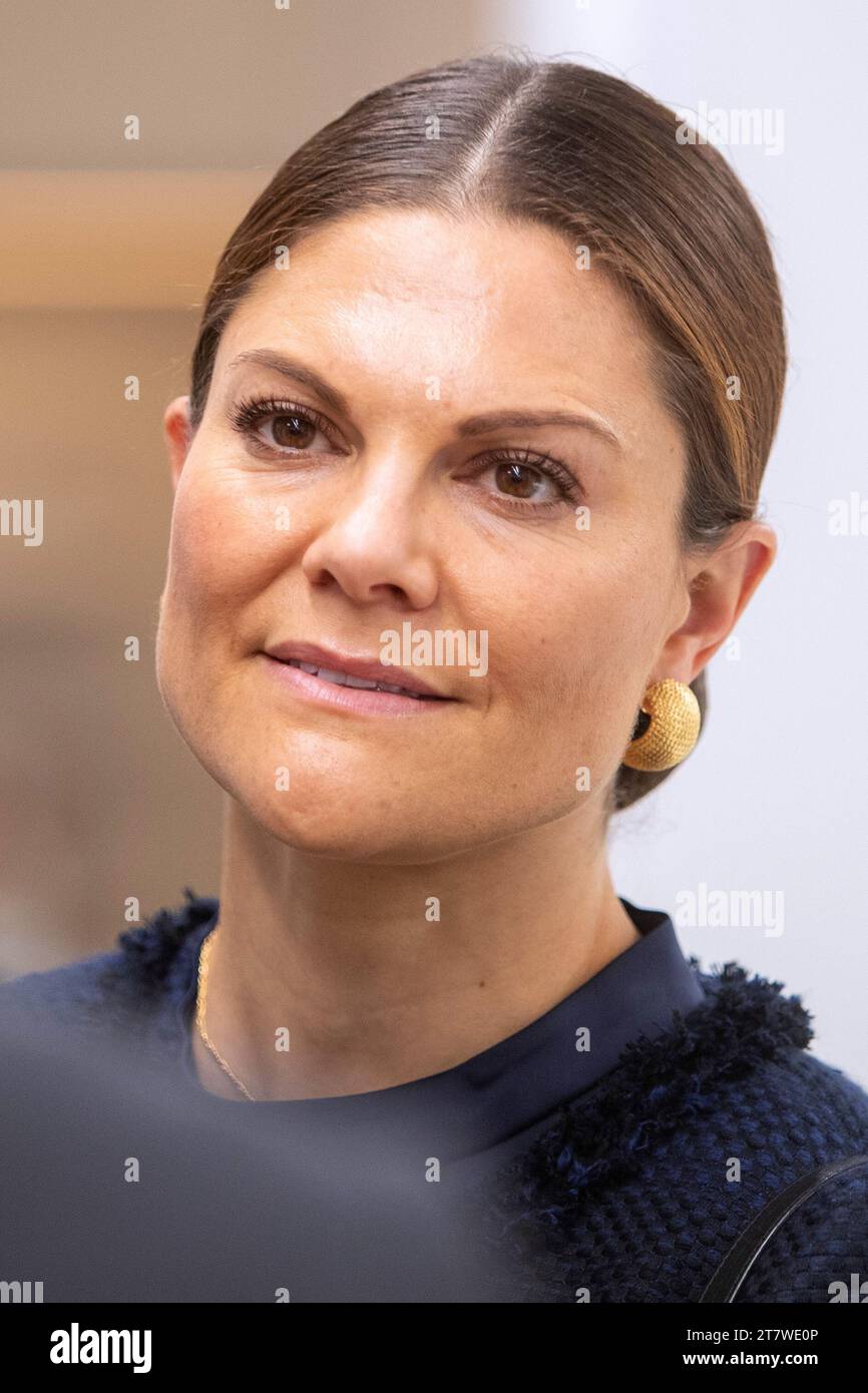 Getinge medical hi-res stock photography and images - Alamy