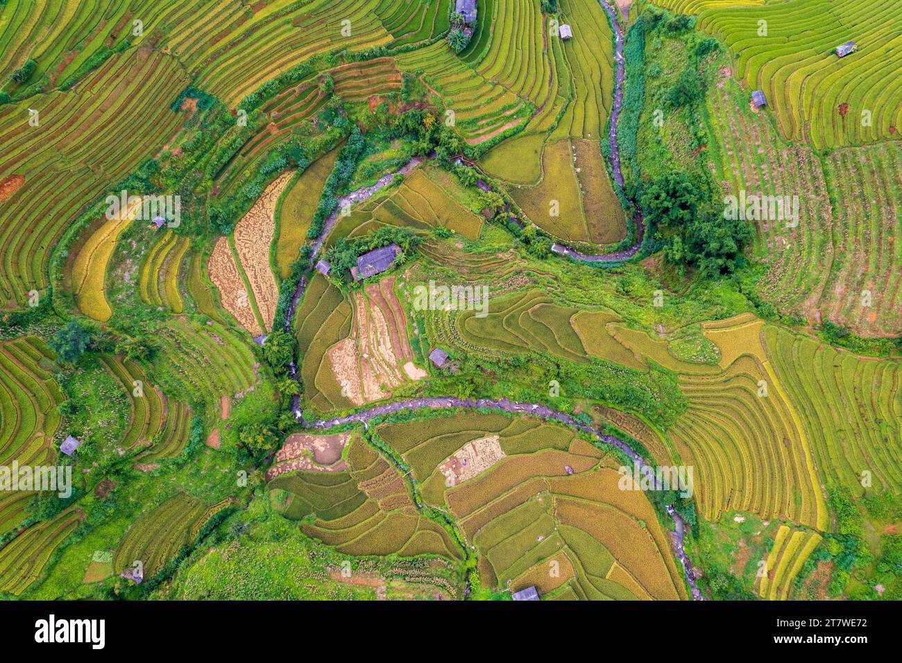 Aerial view of rice terrace field of La Pan Tan near Sapa, Vietnam ...