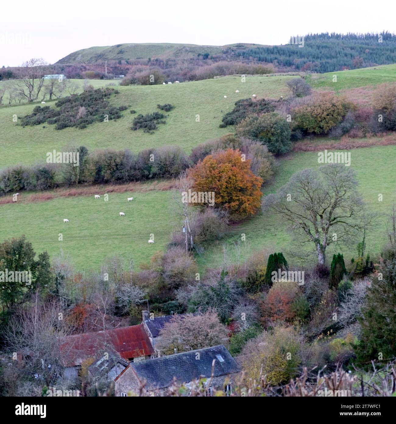 Old welsh cottage hi-res stock photography and images - Alamy