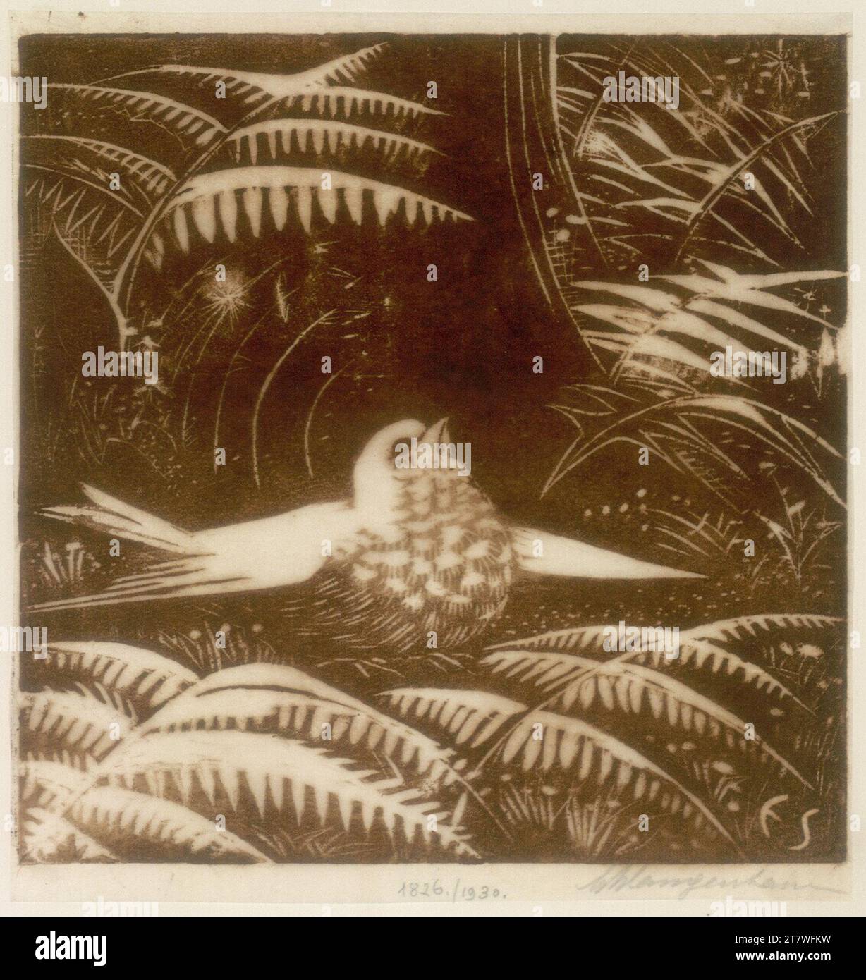 Emma Schlangenhausen Bird in fern. Woodcut on Japanese paper Stock ...