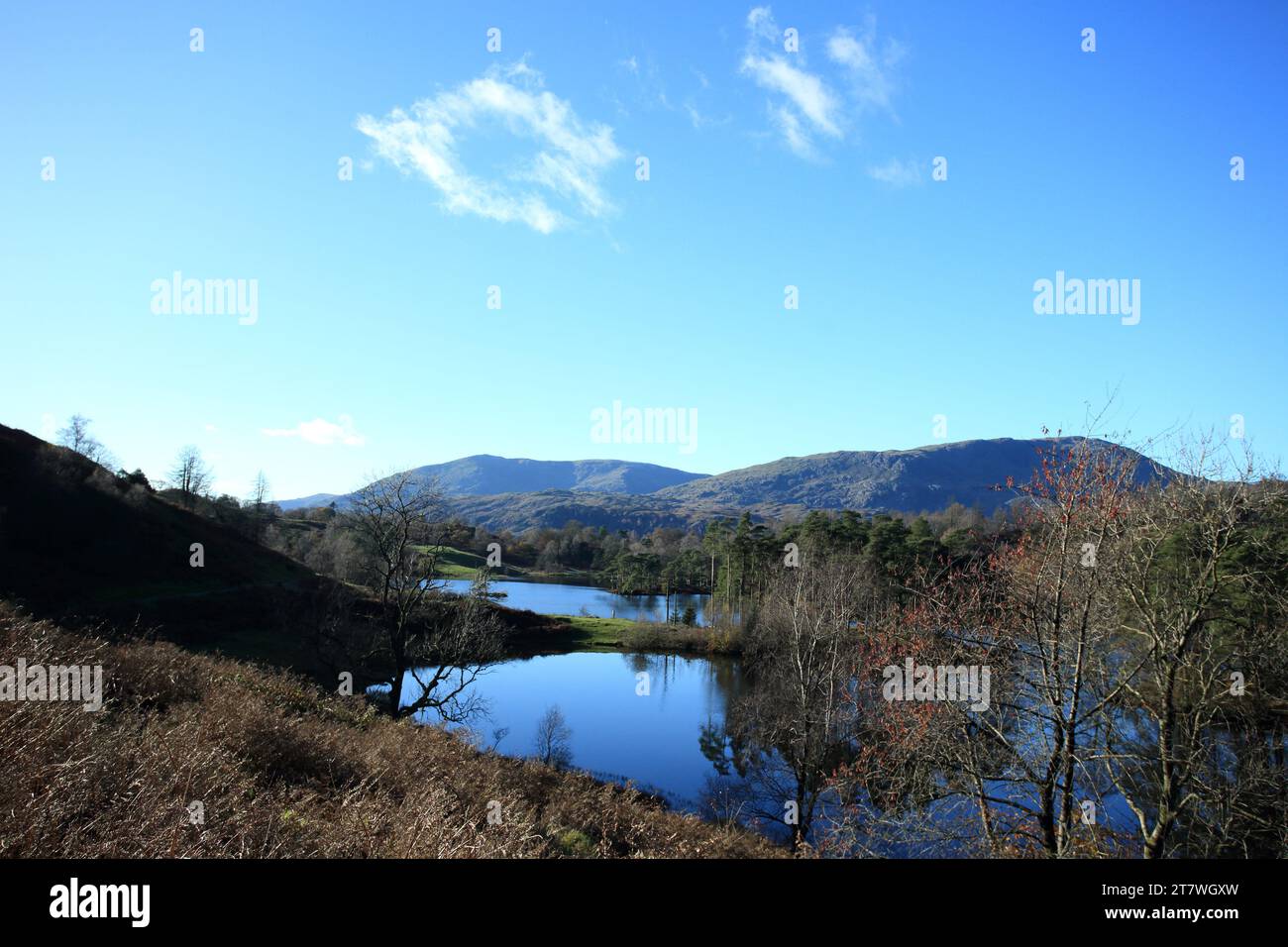 Tarn Hows in the Lake district national park, Cumbria, England, UK ...