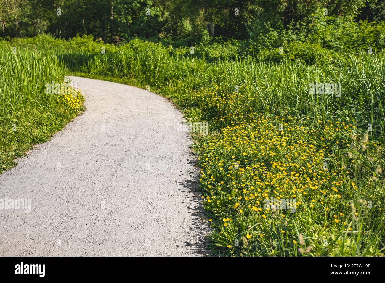 Jogging track in garden of public park, walkway beside green grass lawn ...