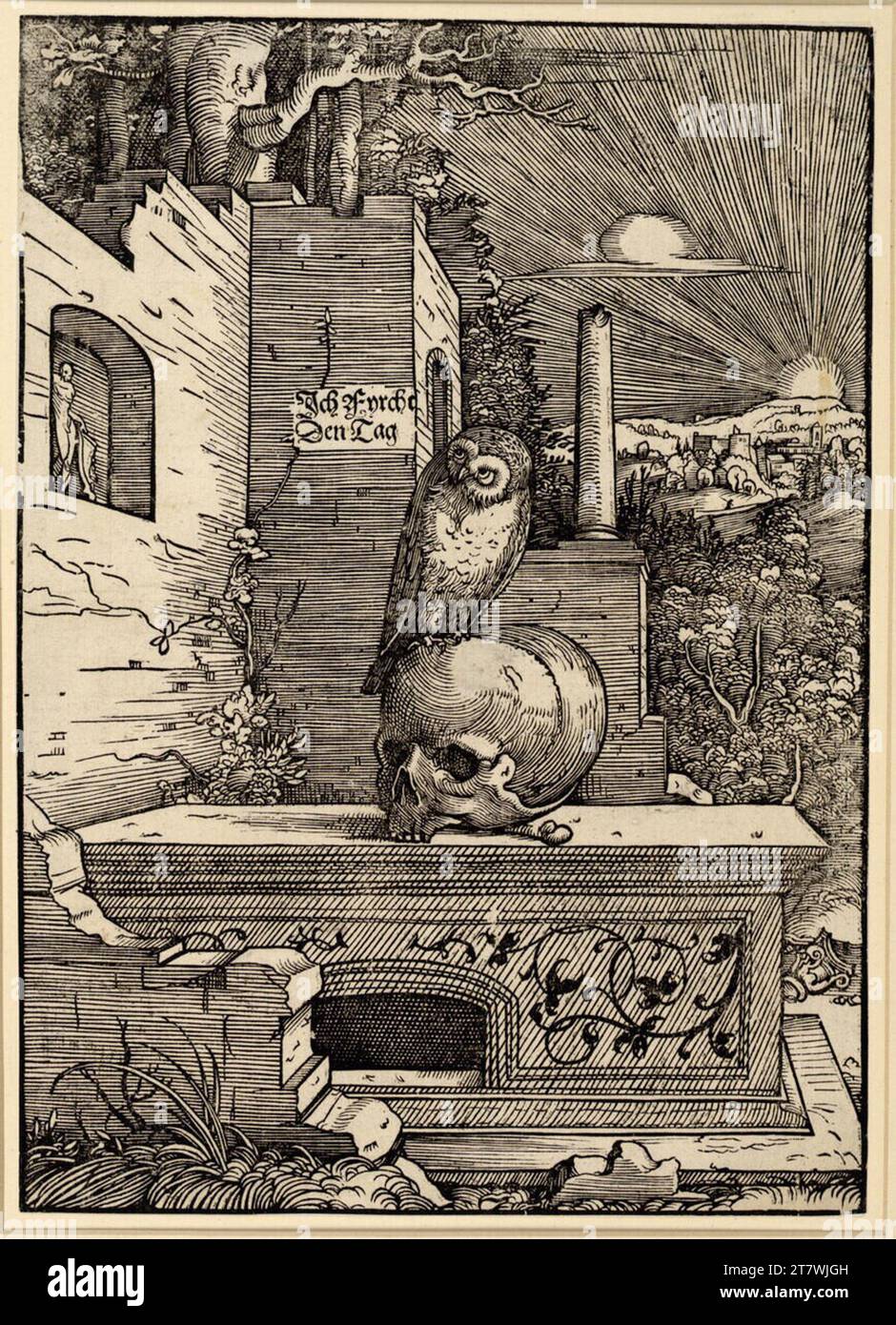 Hans Wechtlin The owl. Woodcut around 1500-1520 Stock Photo - Alamy