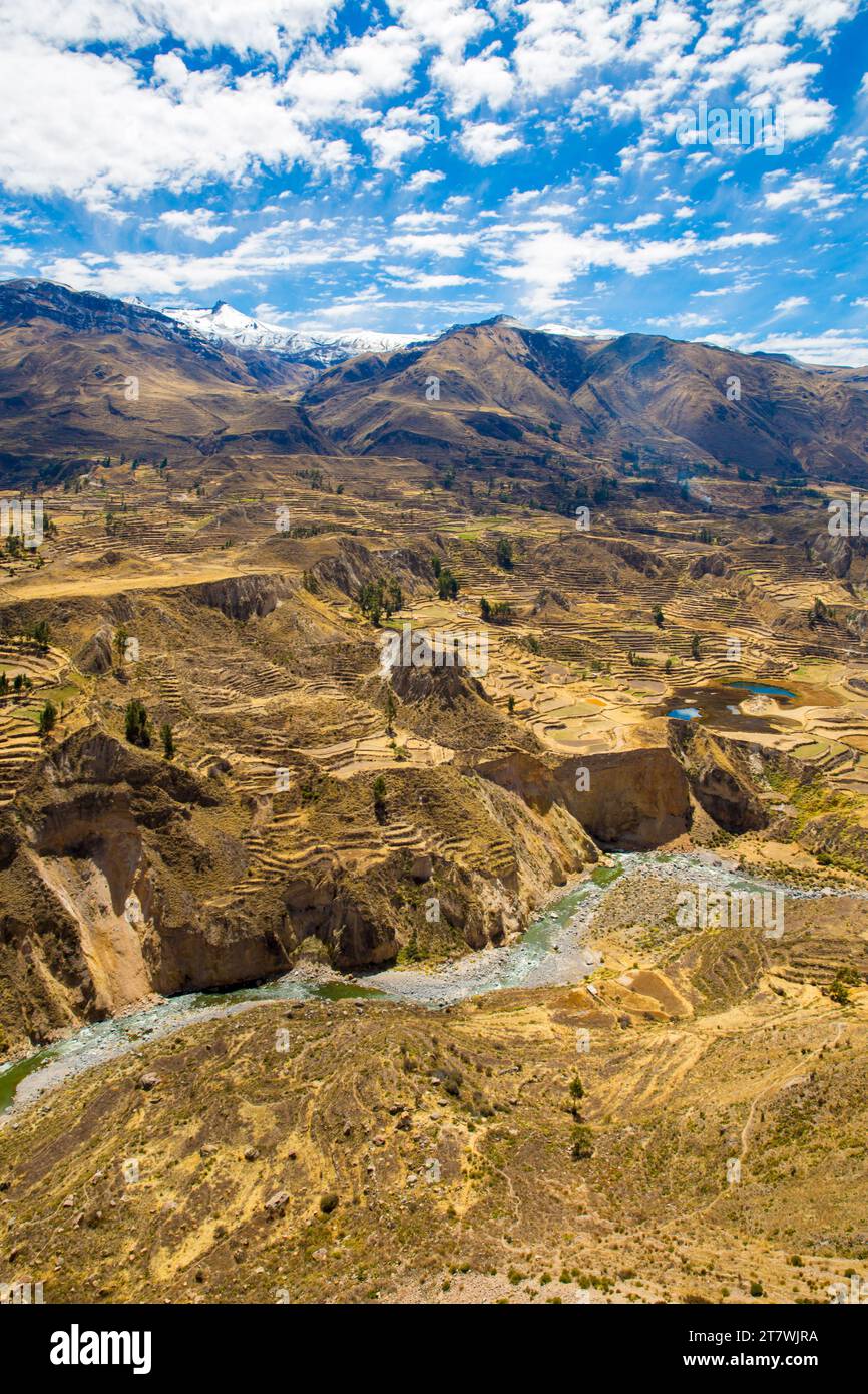 Colca Canyon, Peru,South America. Incas to build Farming terraces with ...