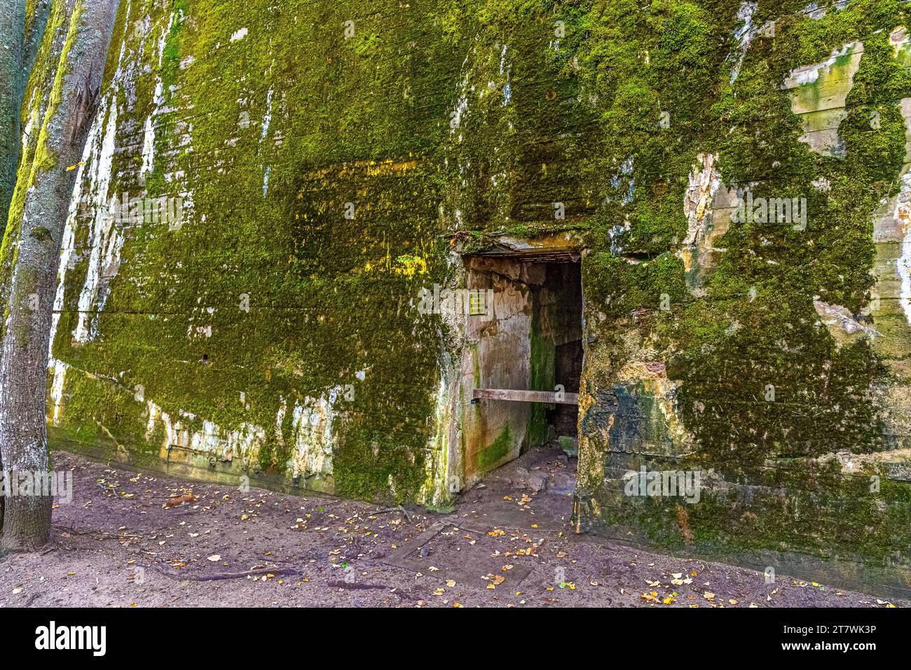 Wolf's Lair/Wolfsschanze a town of bunkers surrounded by forest, lakes ...