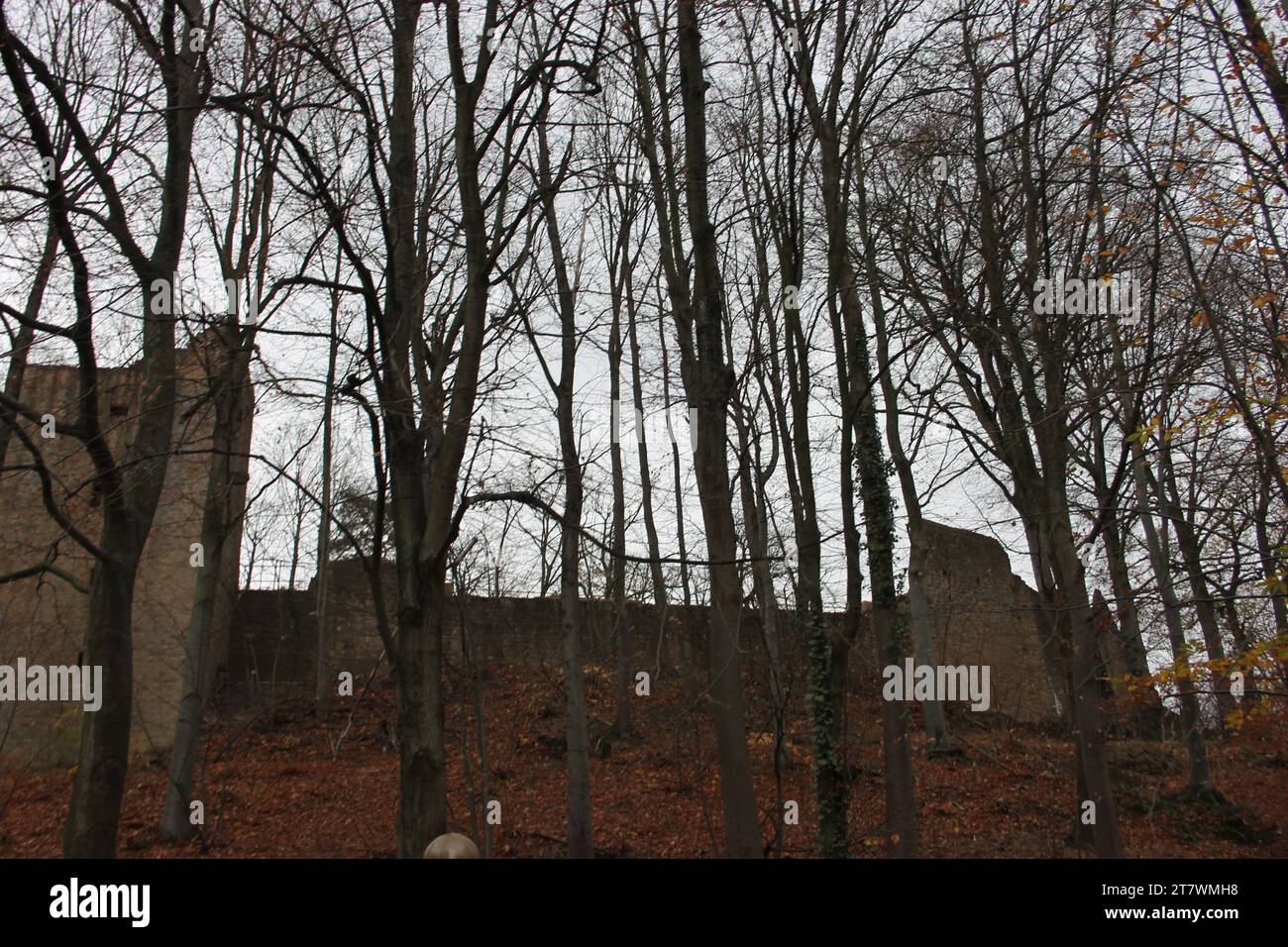 Symbol of the german democracy hi-res stock photography and images - Alamy