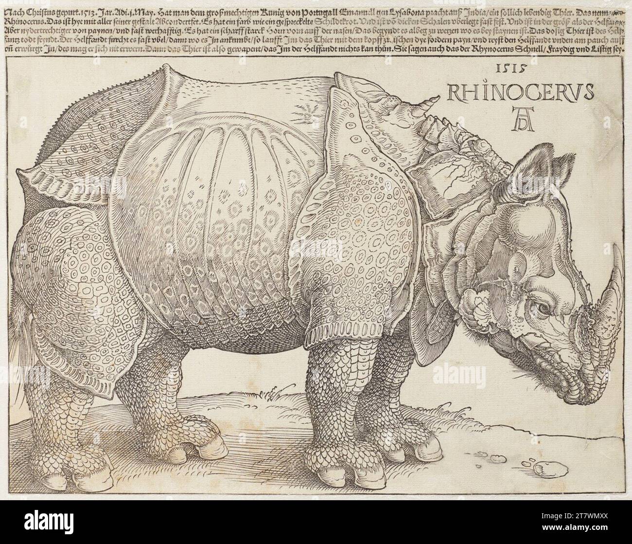 Albrecht Dürer Rhinocerus (the rhinozeros). Woodcut and type print 1515 ...