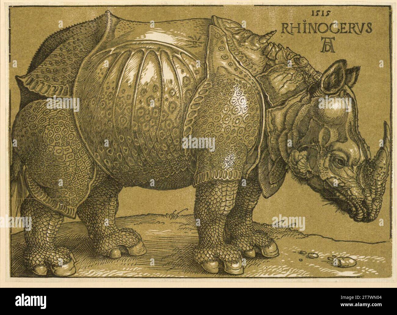 Albrecht Dürer Rhinocerus (the rhinozeros). Woodcut (Clair OBSCUR ...