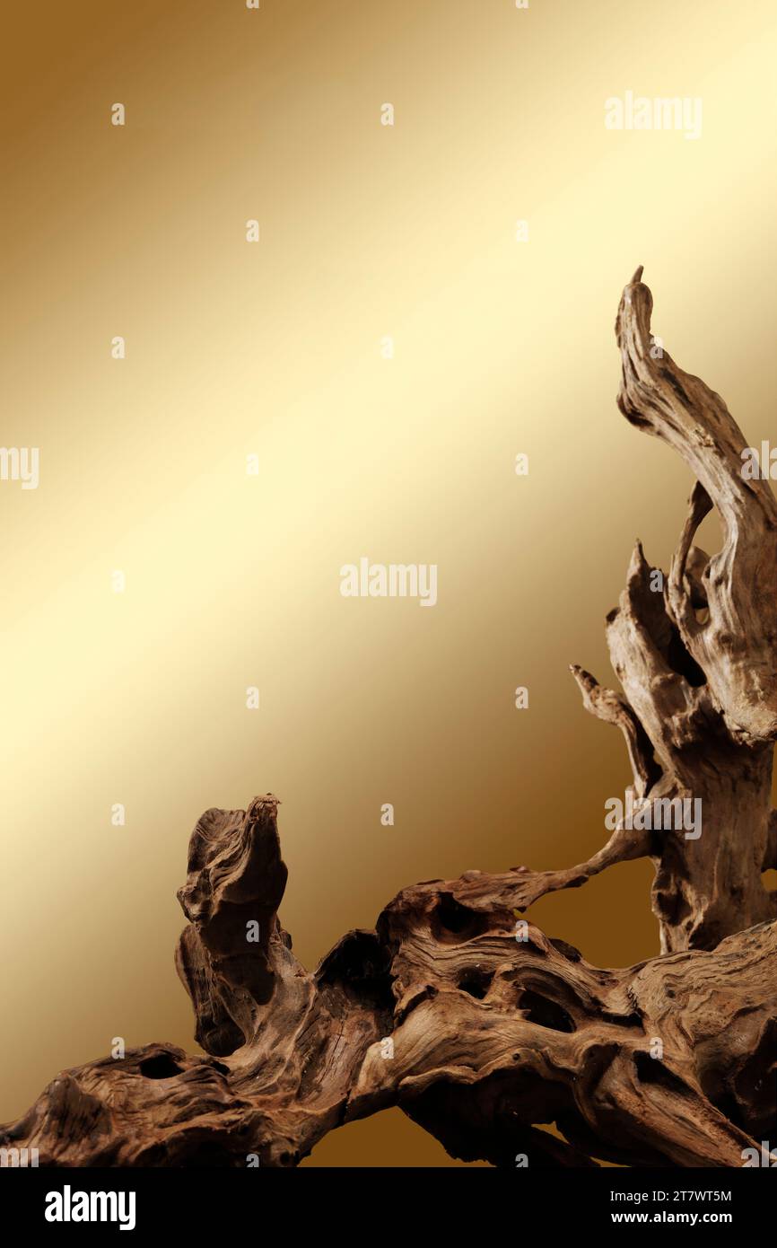 Product display backgrounds, Product photography backdrop, Product ...