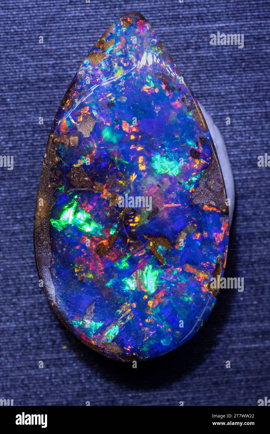 Precious black opal from Australia, at the Tucson Gem & Mineral Show ...