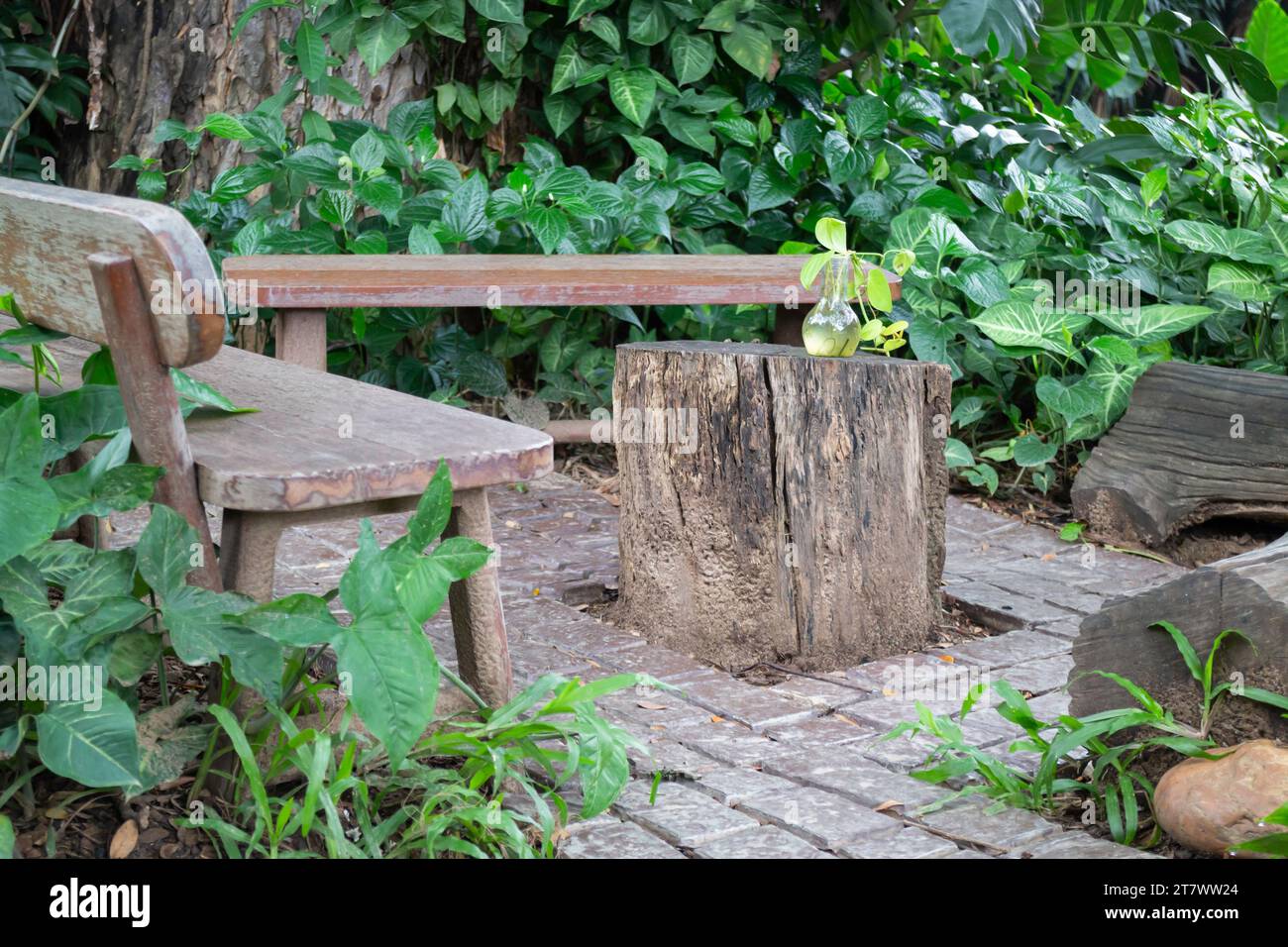 Interior of cozy coffee shop atmosphere, stock photo Stock Photo - Alamy
