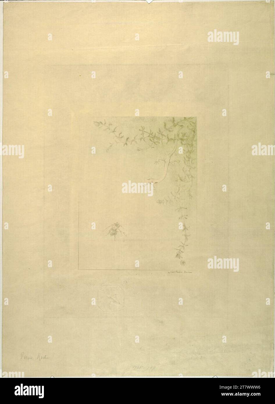 Pierre Roche Sling plant and beetle. Color bike, Japanese paper Stock ...