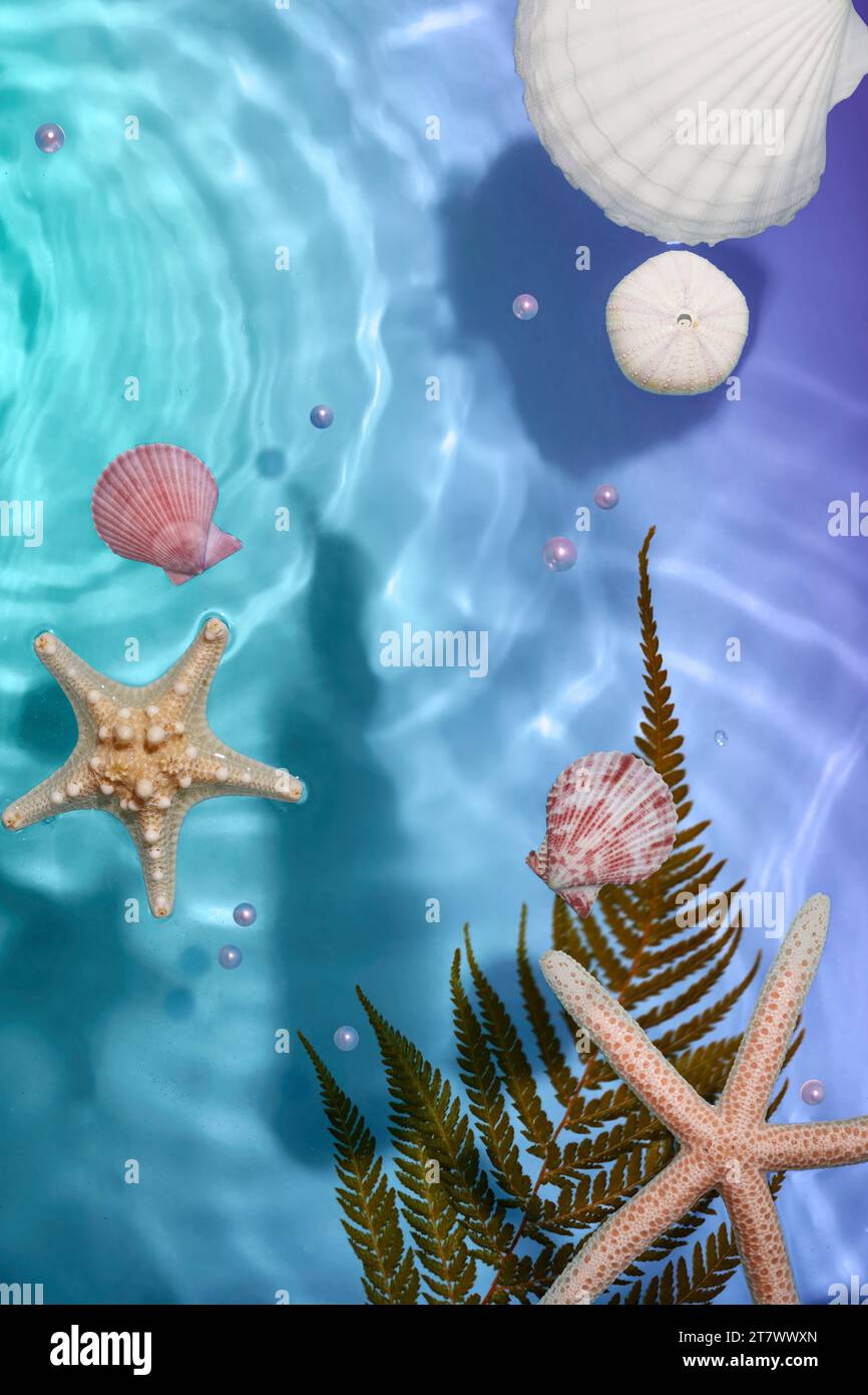 Product presentation backdrops, Background for product shots, Product ...