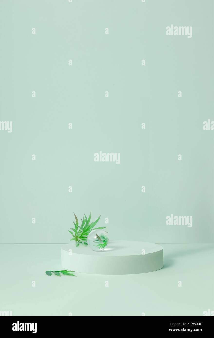 Product presentation backdrops, Background for product shots, Product ...