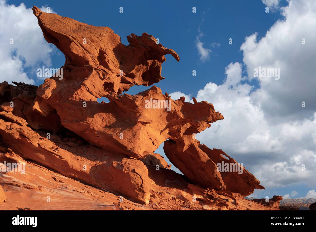 The Gargoyle at sunset, Gold Butte National Monument, Nevada Stock ...