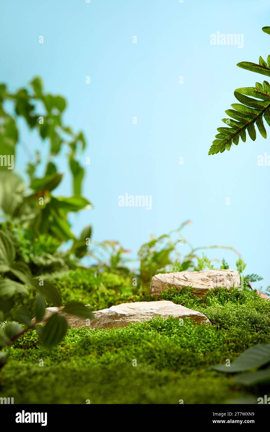 Product presentation backdrops, Background for product shots, Product ...